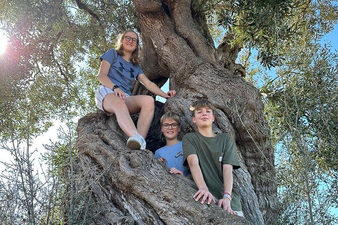 E-bike tour in Ostuni. Oil mill, Dolmen and huge olive trees - The Sum Up