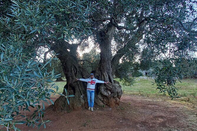 e-bike tour in the plain of the secular olive trees of Ostuni - Why Choose This E-Bike Tour?