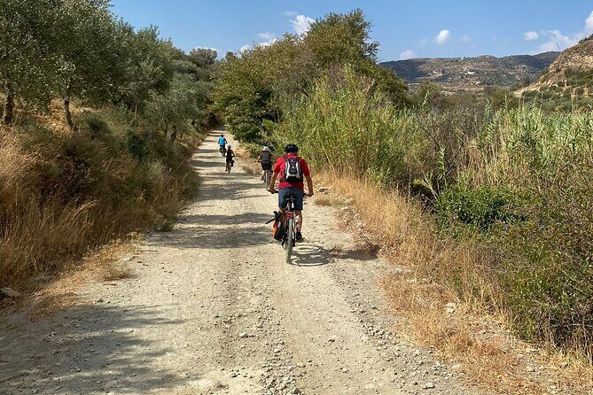 E-Bike Tour with Wine Tasting in Dafnes, Heraklion - Who Is This Tour Best Suited For?