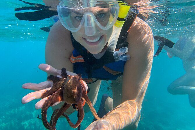 E-Scooter Snorkel With Photo and Video At Turtle Town - The Snorkeling in Turtle Town