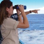 Early Bird Whale Watching Cruise from Waikiki - The Pros and Cons: Is It Worth It?