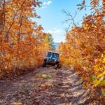 East Zion Brushy Cove Jeep Tour - What You Can Expect from the Experience