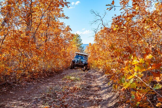 East Zion Brushy Cove Jeep Tour - What You Can Expect from the Experience