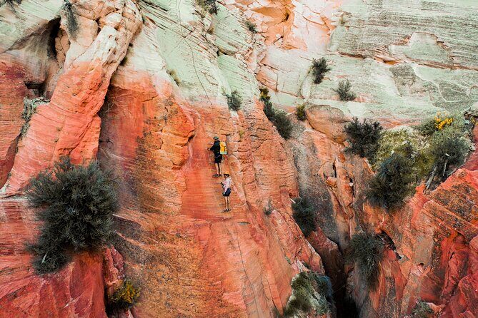 East Zion Elk Heart Cliffs Via Ferrata and Rappelling (3Hr) - An In-Depth Look at the Experience
