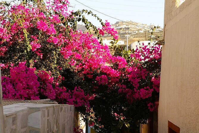 Easy Walks in Santorini Private Half Day Tour - Who Should Pass on It
