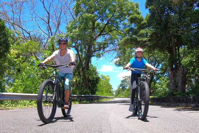 eBike Tour Honolulu Rainforest - Why Consider This Tour?