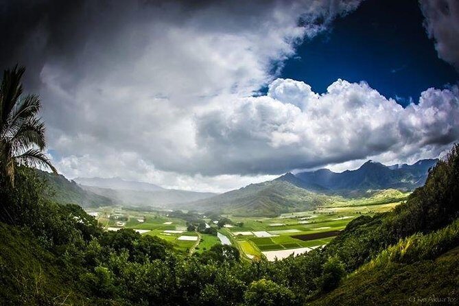 Eco-adventure friendly Aloha Island Tour - Itinerary Breakdown: What You’ll Encounter