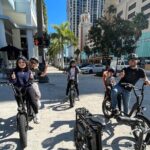 Electric Bike Guided City & Mural Tour - Authentic Traveler Feedback