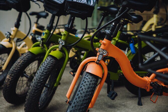 Electric Bike Rentals Waikiki: Honolulu E- Bike Rentals - The Bottom Line: Who Will Benefit Most?