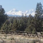 Electric Bike Tour of Bend & Deschutes River - Who Should Consider This Tour?