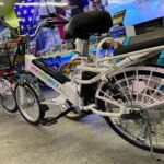 Electric Tandem Bike Rental in South Beach - A Closer Look at the Experience