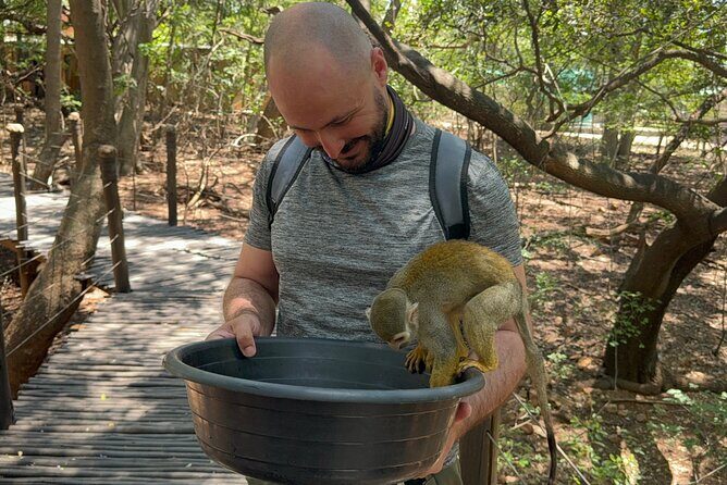 Elephant & Monkey Sanctuary Tour from Johannesburg - Detailed Breakdown of the Itinerary