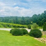 Elijay Three Vineyards Private Wine Tasting Tour from Atlanta - What You’ll Love About This Tour