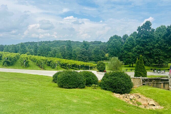 Elijay Three Vineyards Private Wine Tasting Tour from Atlanta - What You’ll Love About This Tour