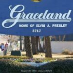Elvis Presley Full-Day Private Tour of Memphis & Graceland - Exploring the Itinerary: What You Can Expect