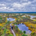 emeri Great Bog Discovery With Optional Sunrise & Jrmala Visit - Who Will Appreciate This Experience?