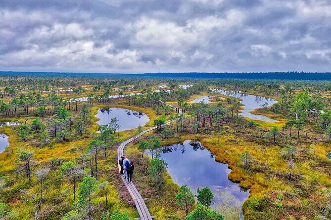 emeri Great Bog Discovery With Optional Sunrise & Jrmala Visit - Who Will Appreciate This Experience?
