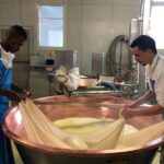 Emilia Flavors: Parmigiano, balsamic, cured meats & wines - What to Expect During the Tour