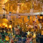 Enchanted Christmas Stroll: San Antonios Festive Gems - Who Should Consider This Tour?