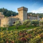 Enchanted Napa & Sonoma Wine Tour from Cupertino - Authentic Experiences and Real Feedback