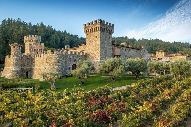 Enchanted Napa & Sonoma Wine Tour from Cupertino - Authentic Experiences and Real Feedback