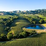 Enchanted Napa & Sonoma Wine Tour from San Jose - What Travelers Say: The Real Experience