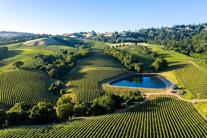 Enchanted Napa & Sonoma Wine Tour from San Jose - What Travelers Say: The Real Experience