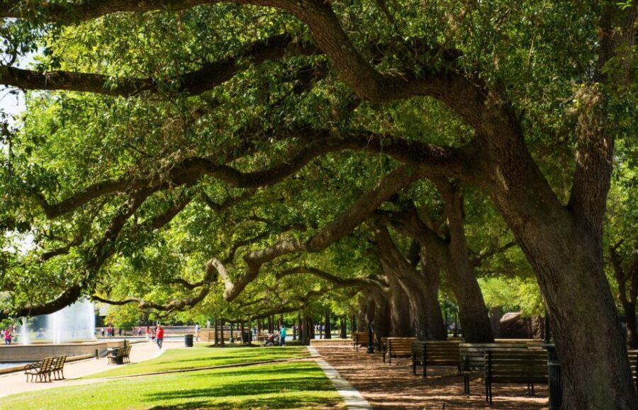 Enchanting Houston: A Romantic Urban Adventure - What to Expect and Practical Tips