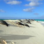 Enchanting Small Group Circle Island Tour of Oahu paradise - The Itinerary in Detail