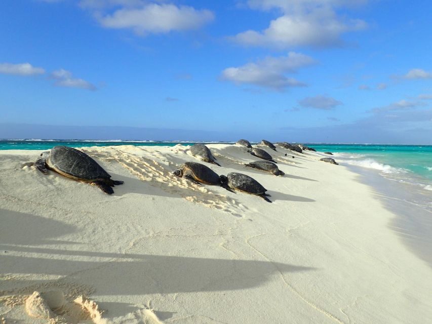 Enchanting Small Group Circle Island Tour of Oahu paradise - The Itinerary in Detail