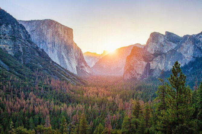 Enchanting Yosemite National Park Tour from San Francisco - What Travelers Are Saying