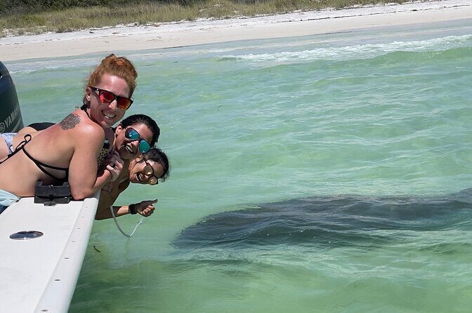 Enticement Charters Snorkel, Shelling in St. Petersburg, FL 3 Hrs - The Details That Matter: Transportation, Duration, and Cost