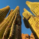 Epic Camelback Mountain Guided Hiking Adventure in Phoenix, Arizona - FAQs