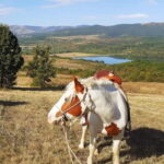 Escape Sofia: horse ride through Bulgaria´s beauty - What’s Included and Practical Tips