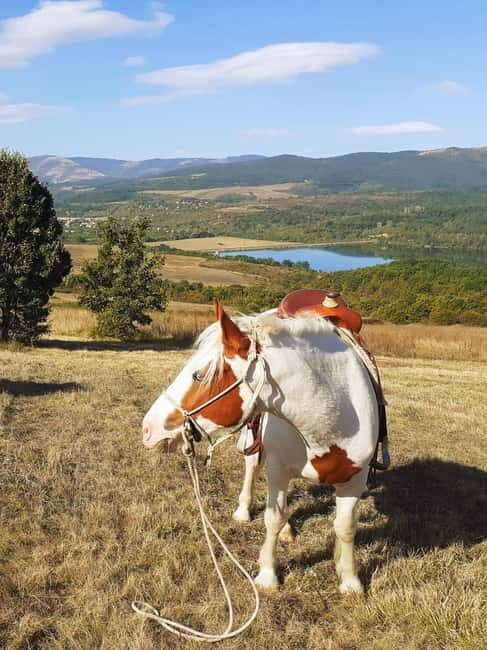 Escape Sofia: horse ride through Bulgaria´s beauty - What’s Included and Practical Tips