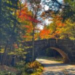 Essence of Portland: Private Tour: Lighthouses and Nature - FAQ