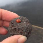 Etna and Wines Tour - How This Tour Offers Value