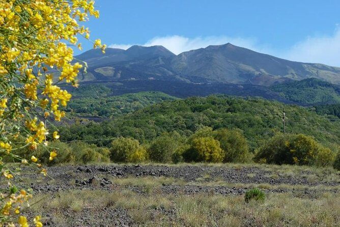 Etna morning tour from Syracuse - Transportation and Logistics