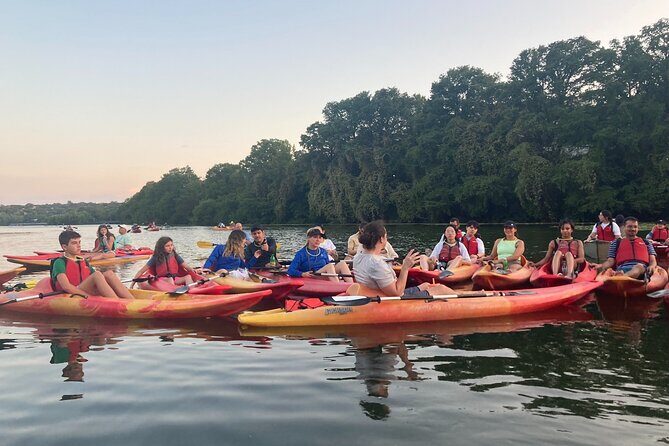 Evening Bat Watching Kayak Tour - Who Should Consider This Tour?