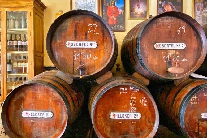 Evening Tapas Tour in Malaga - Who Would Love This Tour?