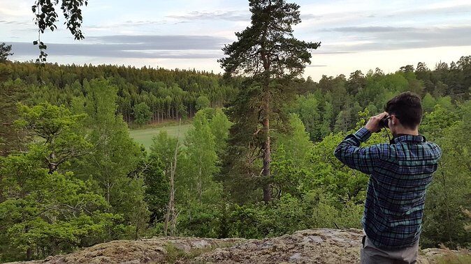 Evening Wildlife Safari Stockholm - Exploring Stockholm’s Wilderness in the Evening