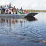 Everglades Admission Ticket with Airboat Ride and Wildlife Show - What Makes This Tour Stand Out