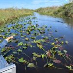 Everglades Airboat, Wildlife Show and free Photo - Thorough Breakdown: What You Can Expect