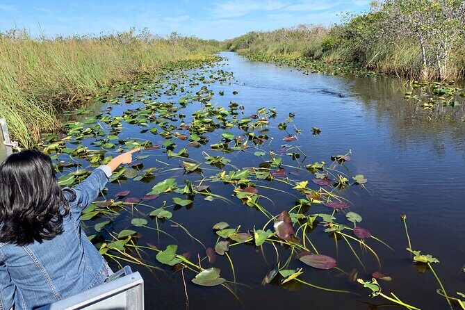 Everglades Airboat, Wildlife Show and free Photo - Thorough Breakdown: What You Can Expect