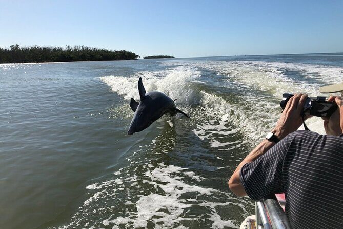 Everglades Day Safari from Ft Lauderdale - Who Would Love This Tour?