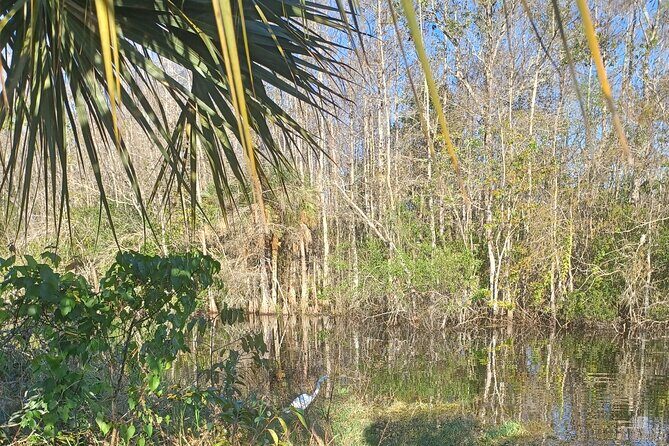 Everglades Eco Airboat Tour with Private Luxury Transportation - Introduction: Authentic, Comfortable, and Cultural