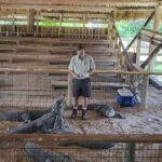 EVERGLADES French Tour from ORLANDO - Comparing Similar Experiences