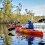 Everglades Guided Kayak Tour - Detailed Breakdown of the Itinerary