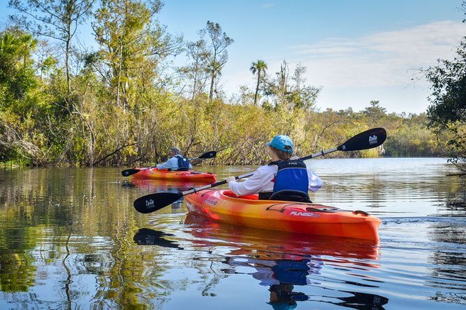 Everglades Guided Kayak Tour - Detailed Breakdown of the Itinerary