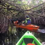 Everglades Kayak Safari Adventure Through Mangrove Tunnels - Overview of the Tour